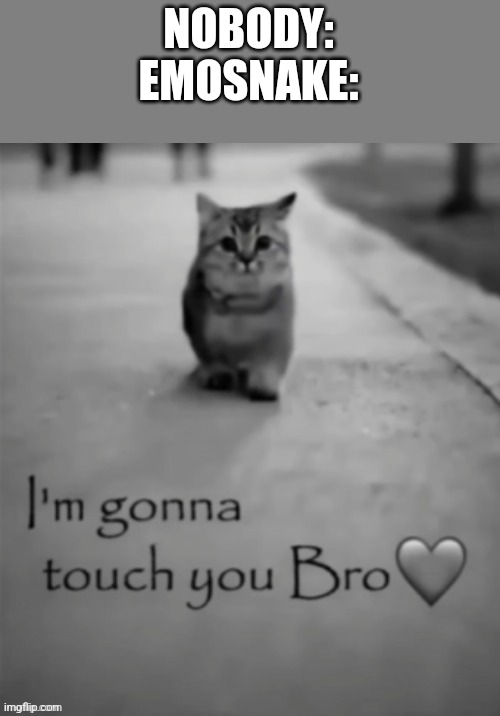 I'm gonna touch you bro - Imgflip