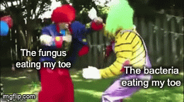 FAILED SURGERY RAHHHHH - Imgflip