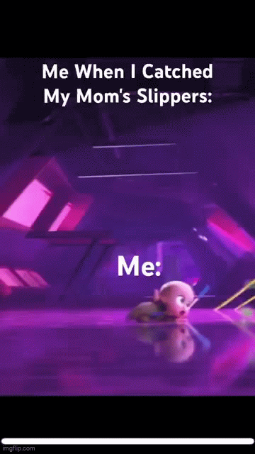 POV:You stole your mom’s slippers - Imgflip