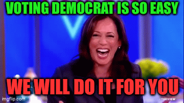 Democrat's making voting easy - Imgflip