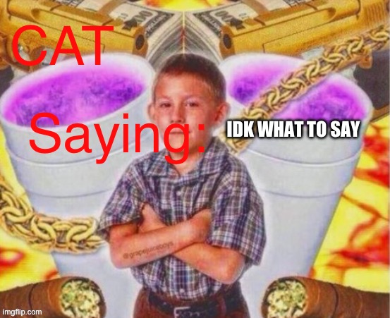 Cats temp idfk - Imgflip