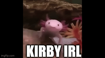 kirby - Imgflip