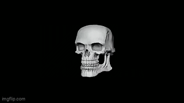 Bad to the bone skull meme - Imgflip