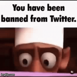 You’ve been banned from twitter - Imgflip