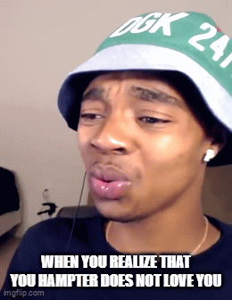 no hampter please - Imgflip