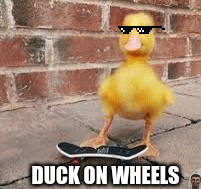 duck on wheels (find the secret skibidi toilet) - Imgflip