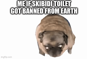 Dancing pug - Imgflip