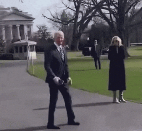 Jill Taking Joe Out For a Walk - Imgflip