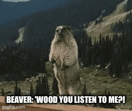 LISTEN!! - Imgflip