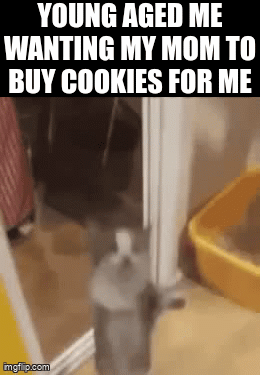 gr igo aj[ agwjpo - Imgflip