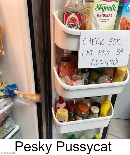 Important Message - Imgflip