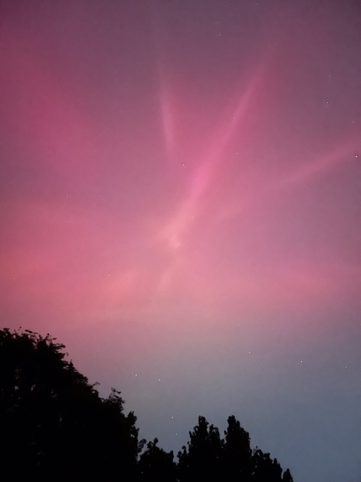 Aurora memphis Susan Blank Template - Imgflip