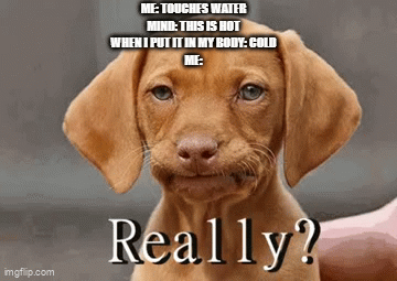 Dissapointment - Imgflip