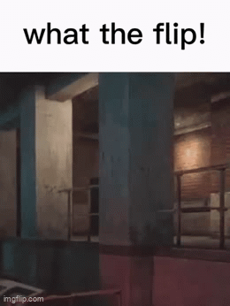 What the Flip BoneLab - Imgflip