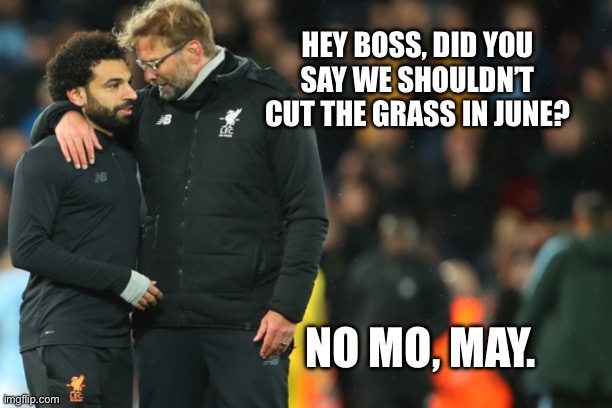 No Mo, May - Imgflip