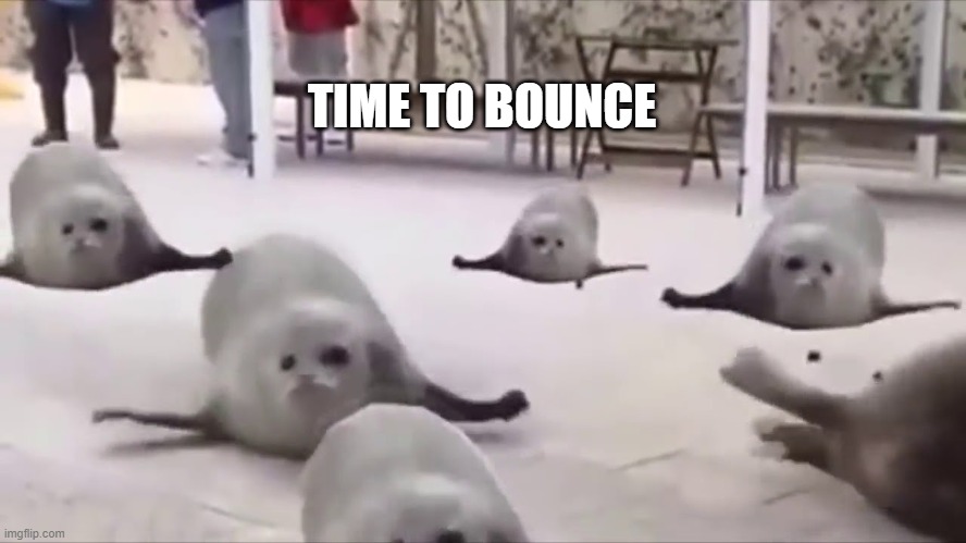 Bouncing seals - Imgflip