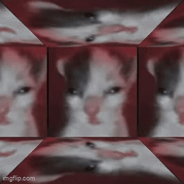 kitteh horror official trailer_mp4 - Imgflip