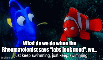 Finding Lupus - Imgflip