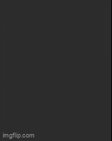 Animated GIF - Imgflip