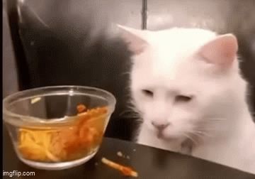 Fax my brother, spit yo shit indeed. - Imgflip