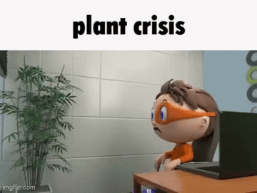 He has problems with his office plant... - Imgflip