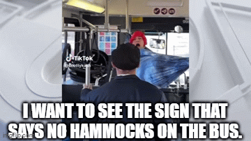 No hammocks on the bus. Take it down. - Imgflip