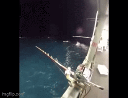 Animated GIF - Imgflip