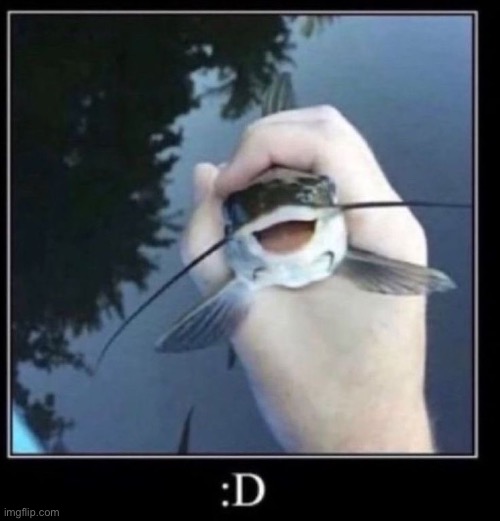 :D - Imgflip