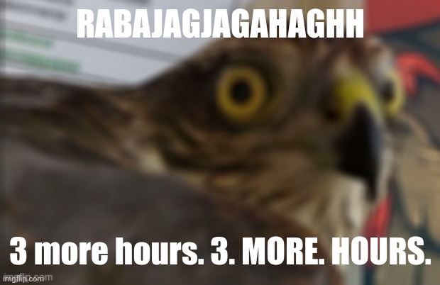 shocked bird - Imgflip