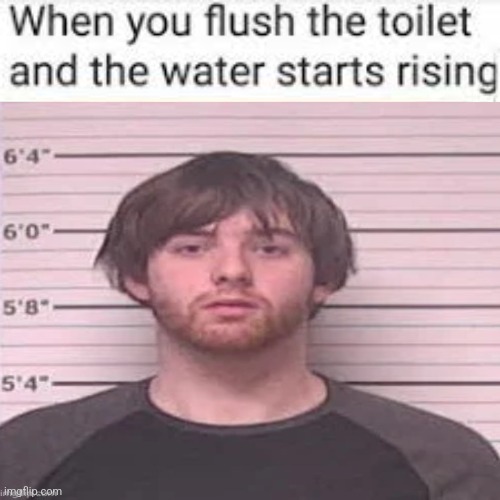When you flush the toilet - Imgflip