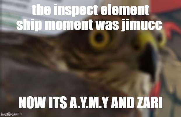 shocked bird - Imgflip