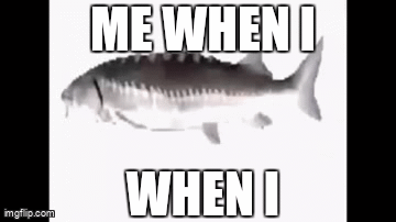 spinning fish - Imgflip