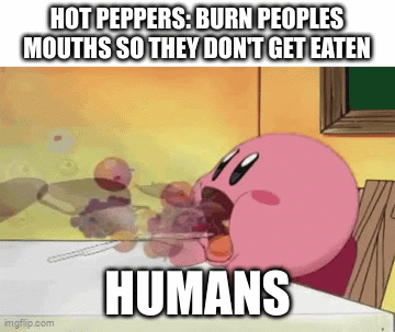 mmm delicious! - Imgflip