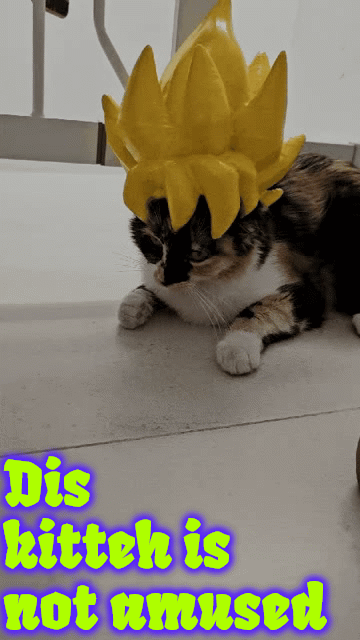 Not Amused - Imgflip