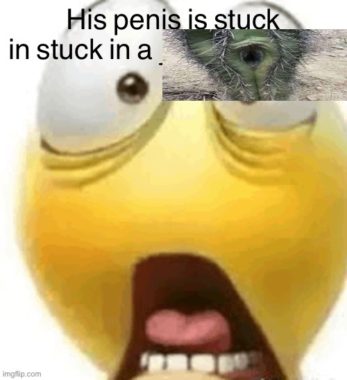 HIS PENIS IS STUCK IN A - Imgflip