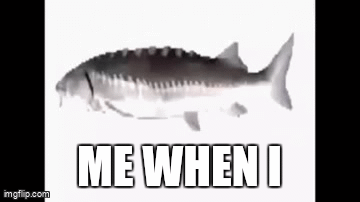 spinning fish - Imgflip