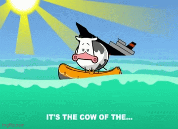 Cow of the sea - Imgflip