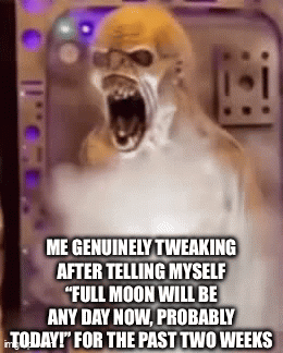 genuinely tweaking skeleton - Imgflip