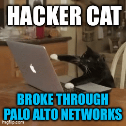 Hacker cat - Imgflip