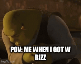 Bro got that w rizz - Imgflip