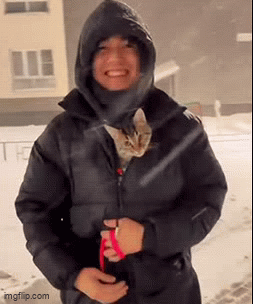 Cold cat warming up - Imgflip