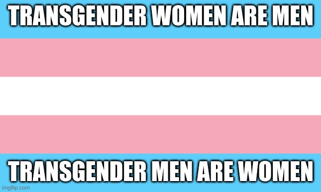 Trans Flag - Imgflip