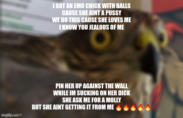 shocked bird - Imgflip