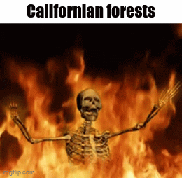 USA State slander #5 - Imgflip