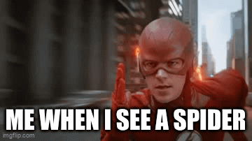 When I see a spider - Imgflip