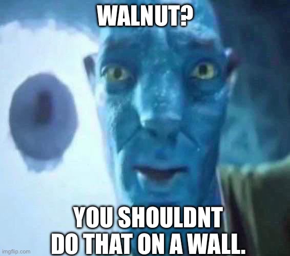 It wasnt me i swear! - Imgflip