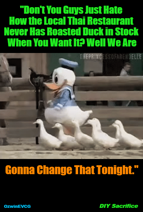 DIY Sacrifice - Imgflip