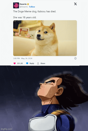 Doge was a real one - Imgflip