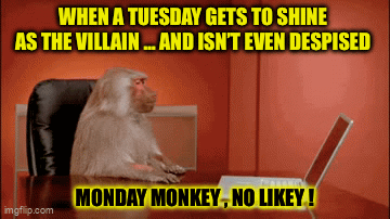 Monday Monkey - Imgflip