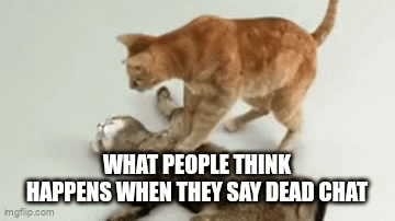 Cat revive - Imgflip